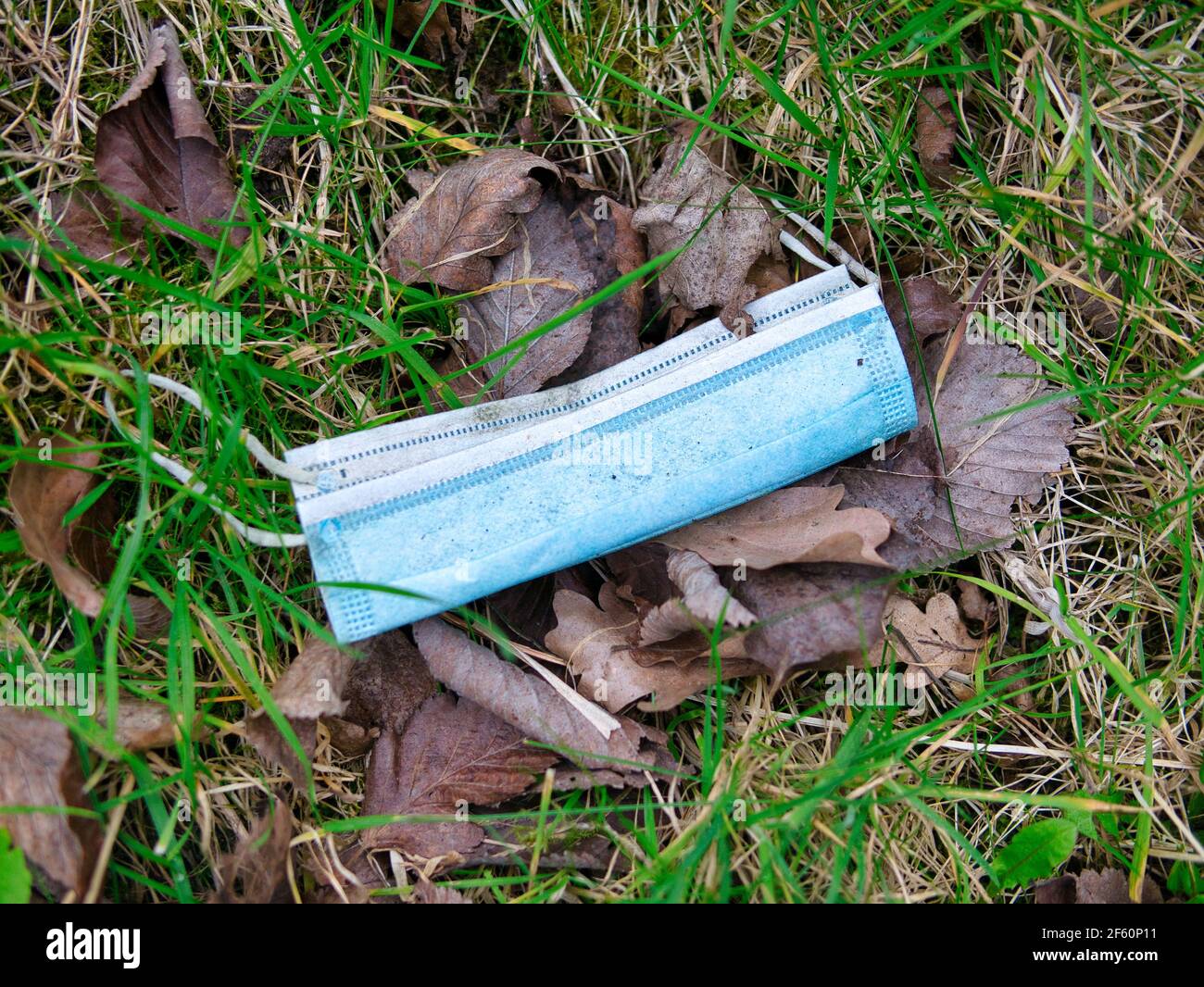 A used, blue surgical mask used for COVID-19 PPE protection, discarded ...