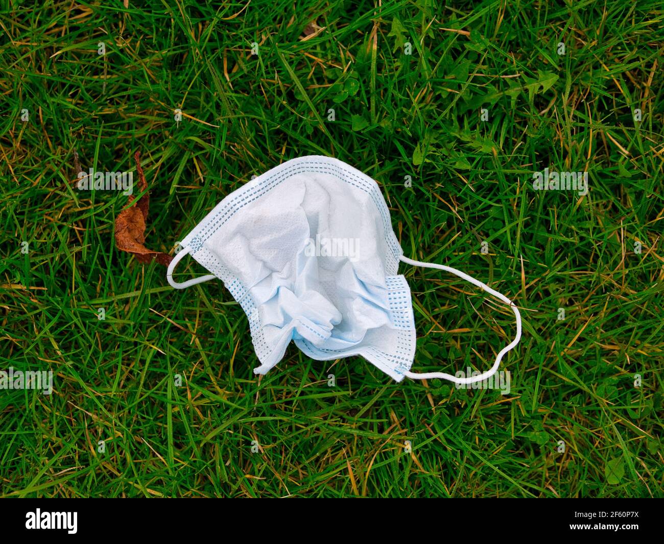 A used, blue surgical mask used for COVID-19 PPE protection, discarded ...