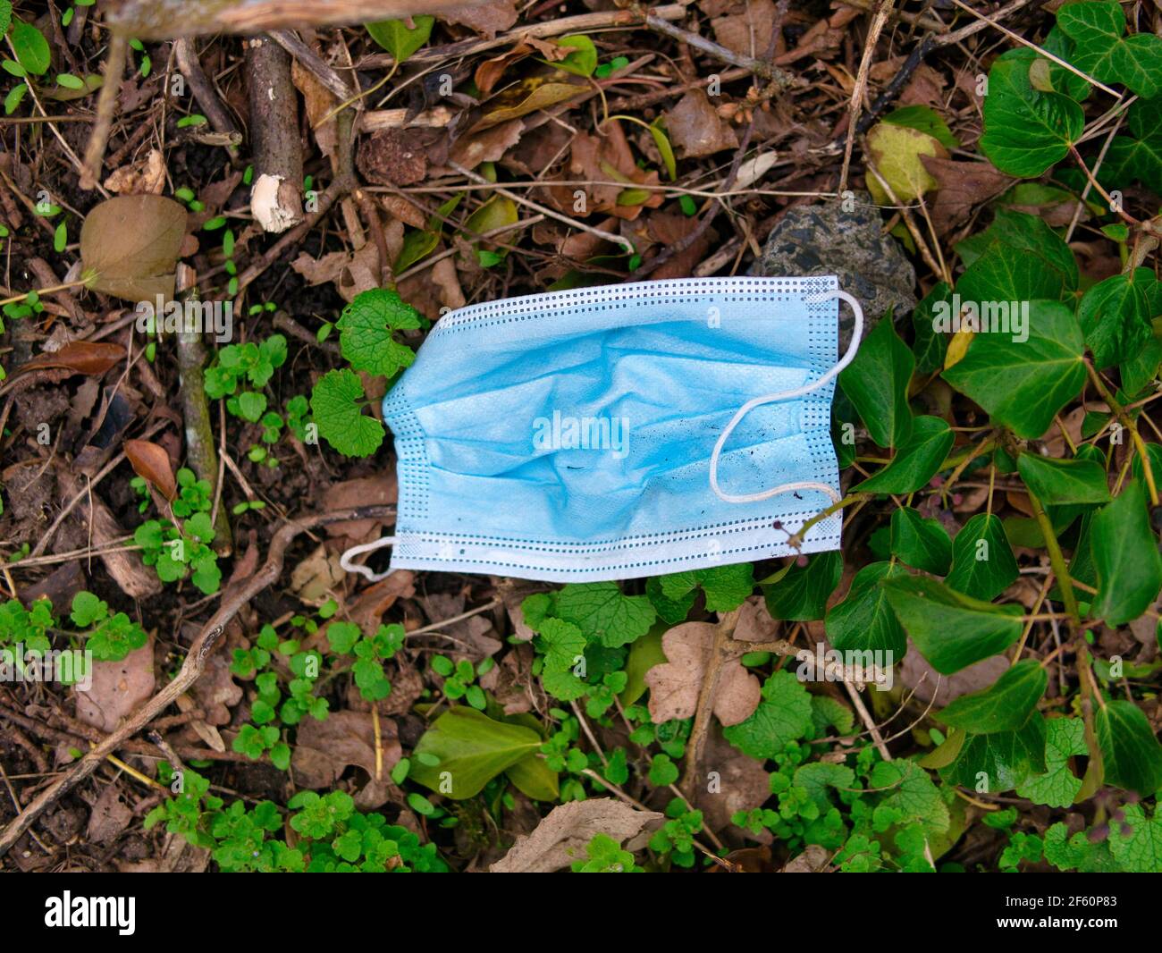 A used, blue surgical mask used for COVID-19 PPE protection, discarded ...