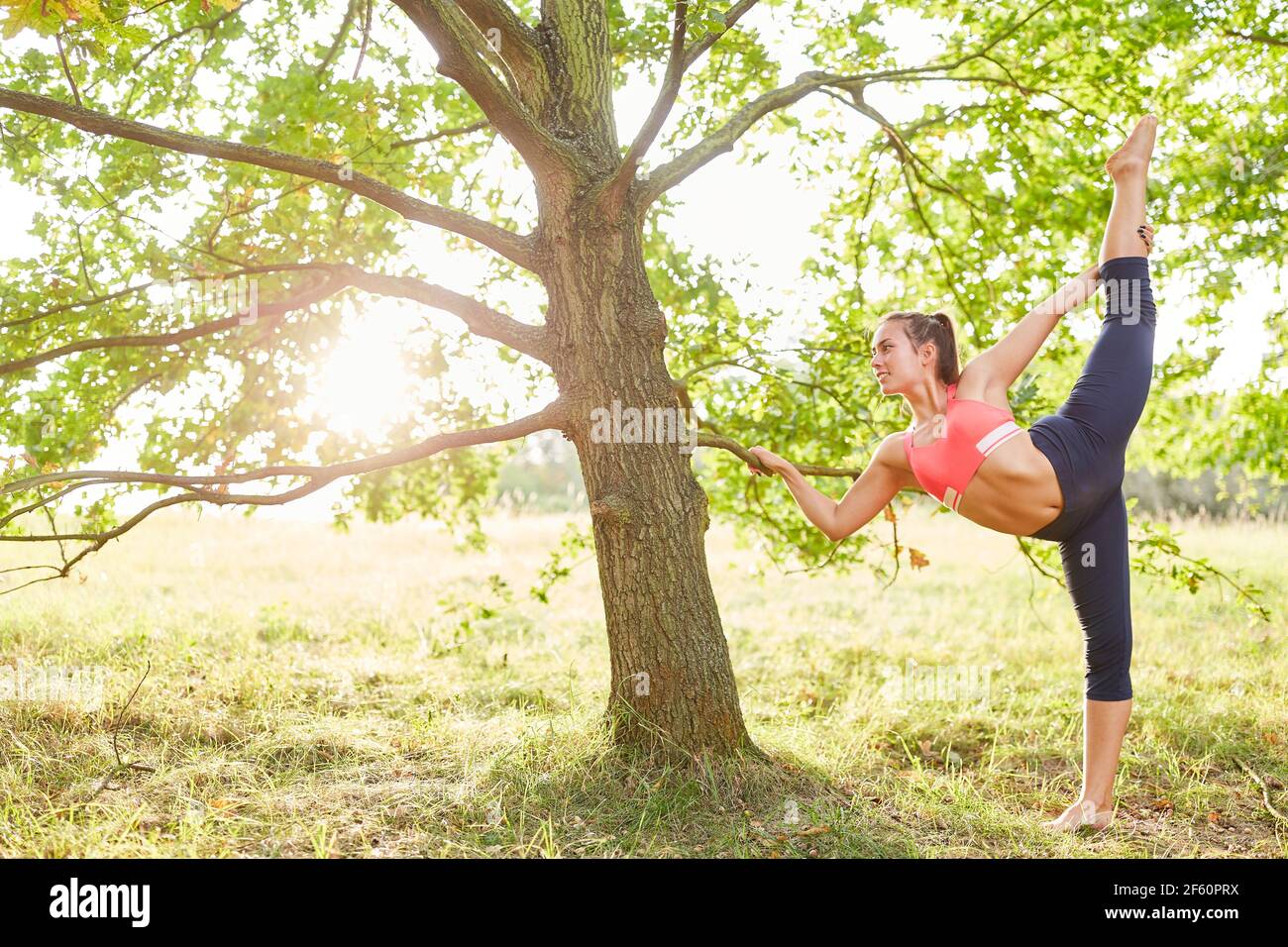 Gymnastics stretching hi-res stock photography and images - Alamy