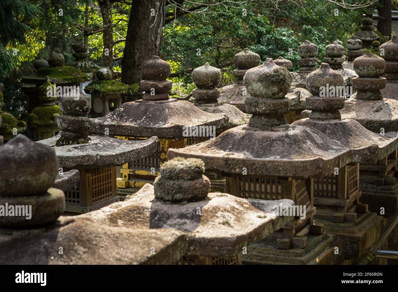 Japanese stone lanterns in the spring sunshine at Kasuga Taisha Grand ...