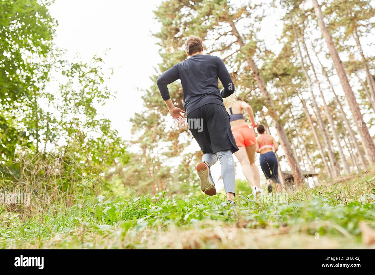 Group of friends doing cross-country running in nature in the forest as ...