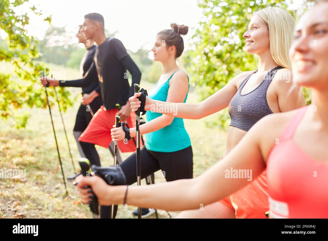 Group of friends doing nordic walking together in nature in summer ...