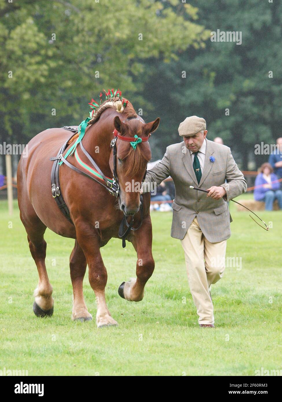 Suffolk punch horse pulling hi-res stock photography and images - Alamy