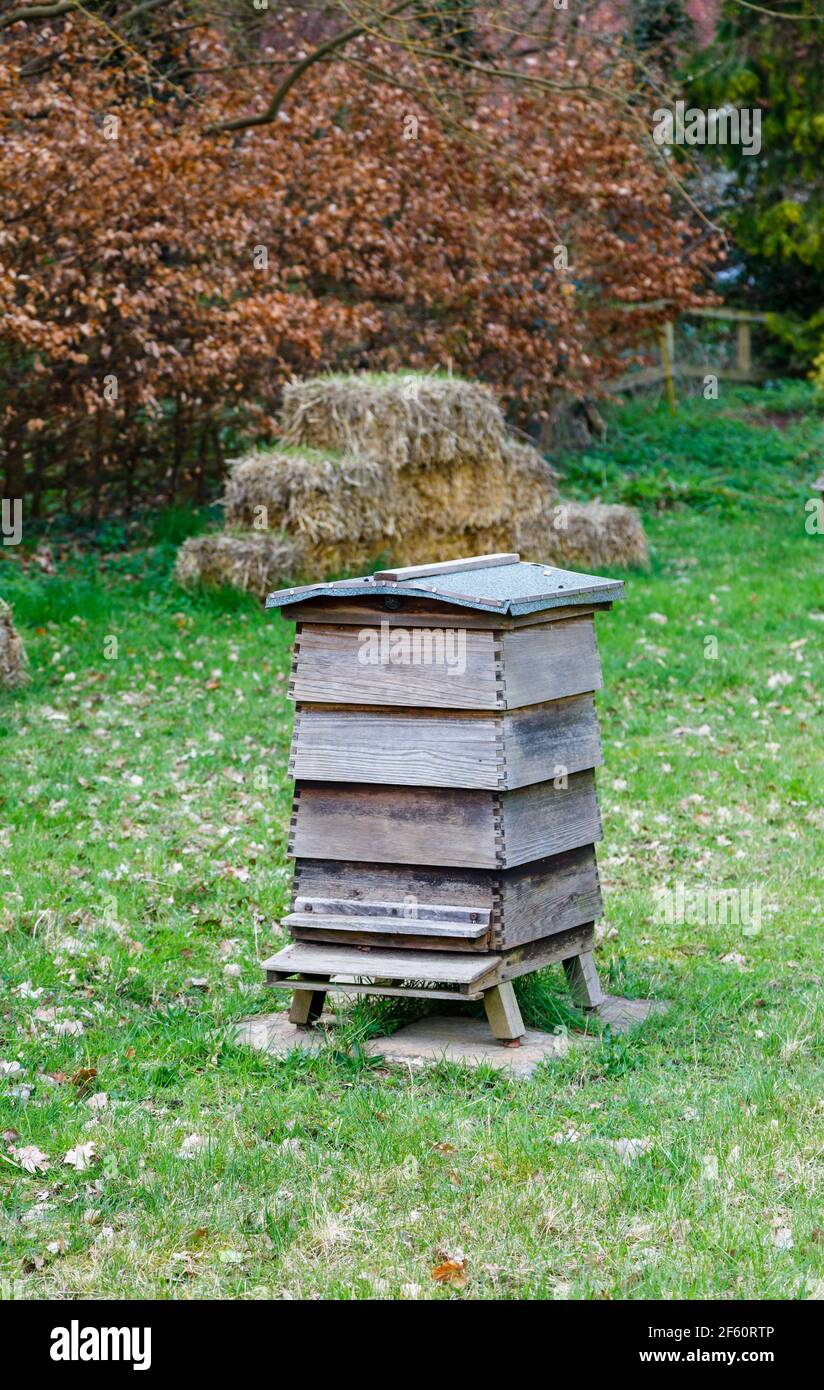 Traditional wooden WBC beehive standing outdoors on grass in Howard's ...