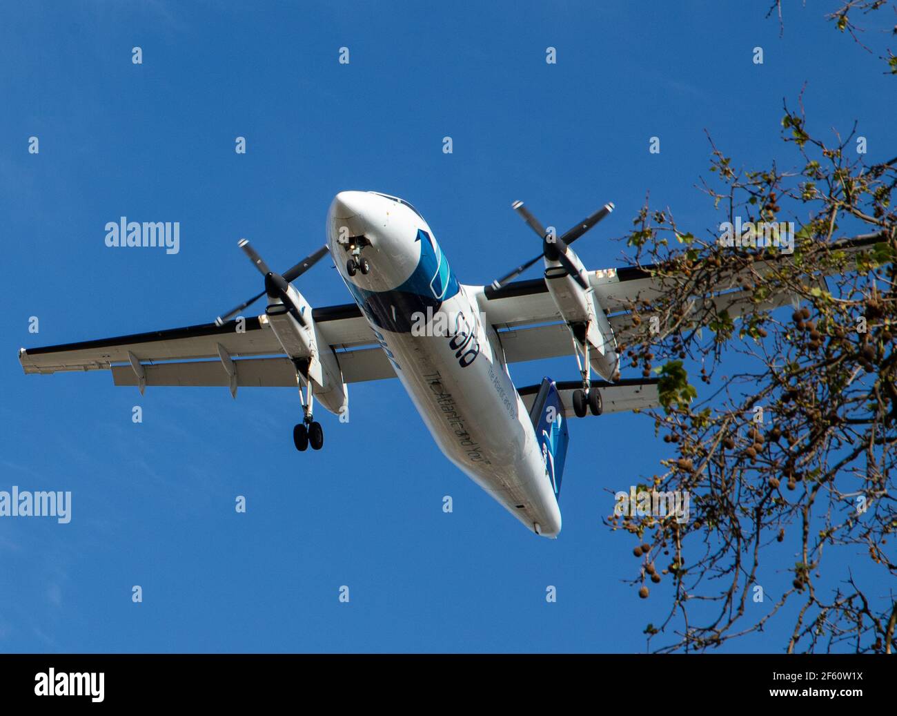Sata Air Açores Q200 Landing Stock Photo - Alamy