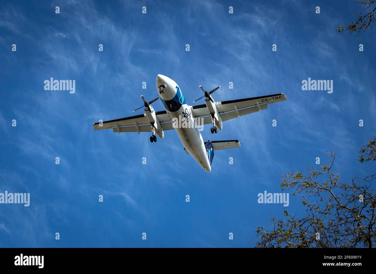 Sata Air Açores Q200 Landing Stock Photo - Alamy
