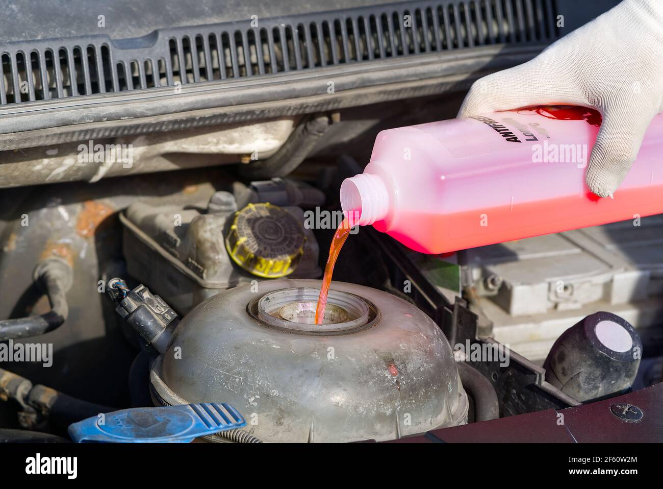 Pouring antifreeze coolant in radiator hi-res stock photography and ...