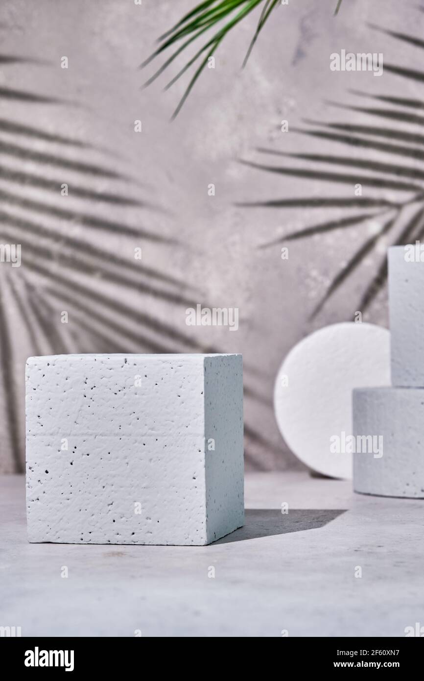 Modern product display on grey background with podium and palm leaves ...