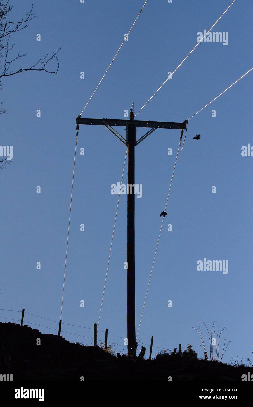 Pole three power lines hi-res stock photography and images - Alamy