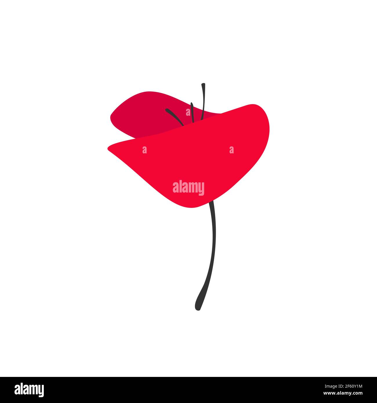 Flower on war memorial Cut Out Stock Images & Pictures - Alamy