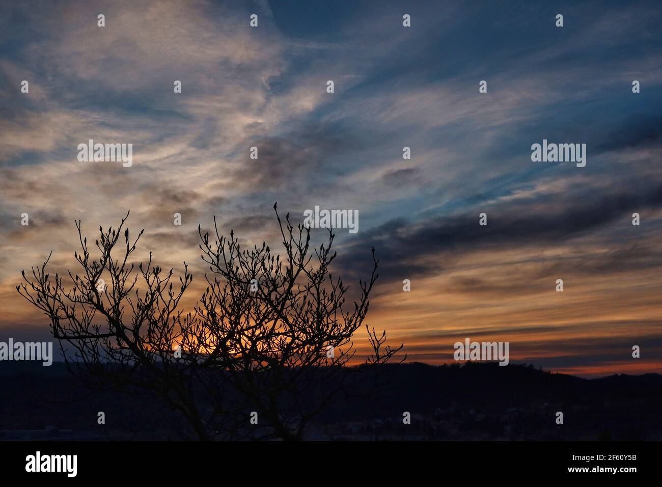 Splendid colors hi-res stock photography and images - Alamy