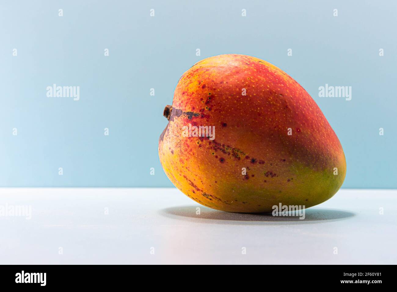 Fresh pink mango fruit on blue background. Fruit rich in fiber and ...