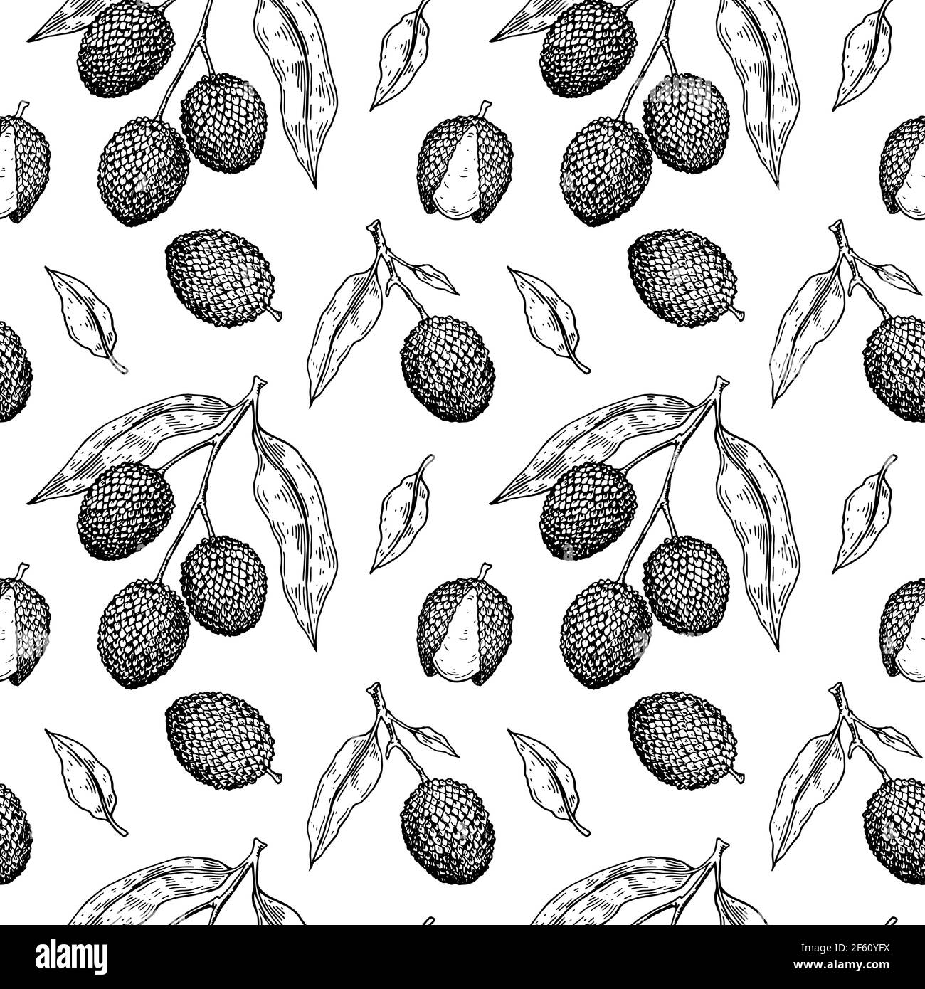 Lychee botanical illustration Stock Vector Images - Alamy