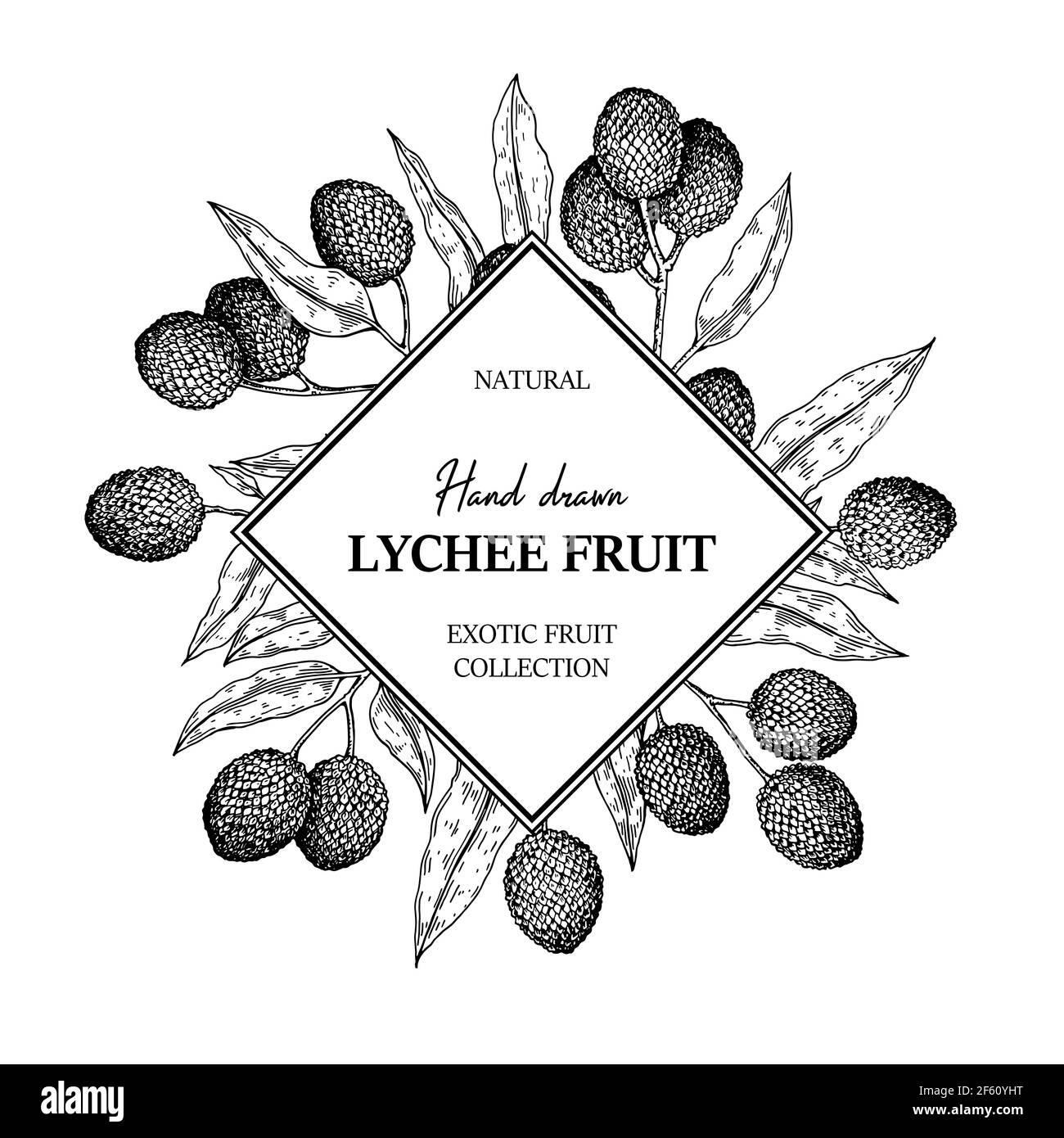 Litchi tree Black and White Stock Photos & Images - Alamy