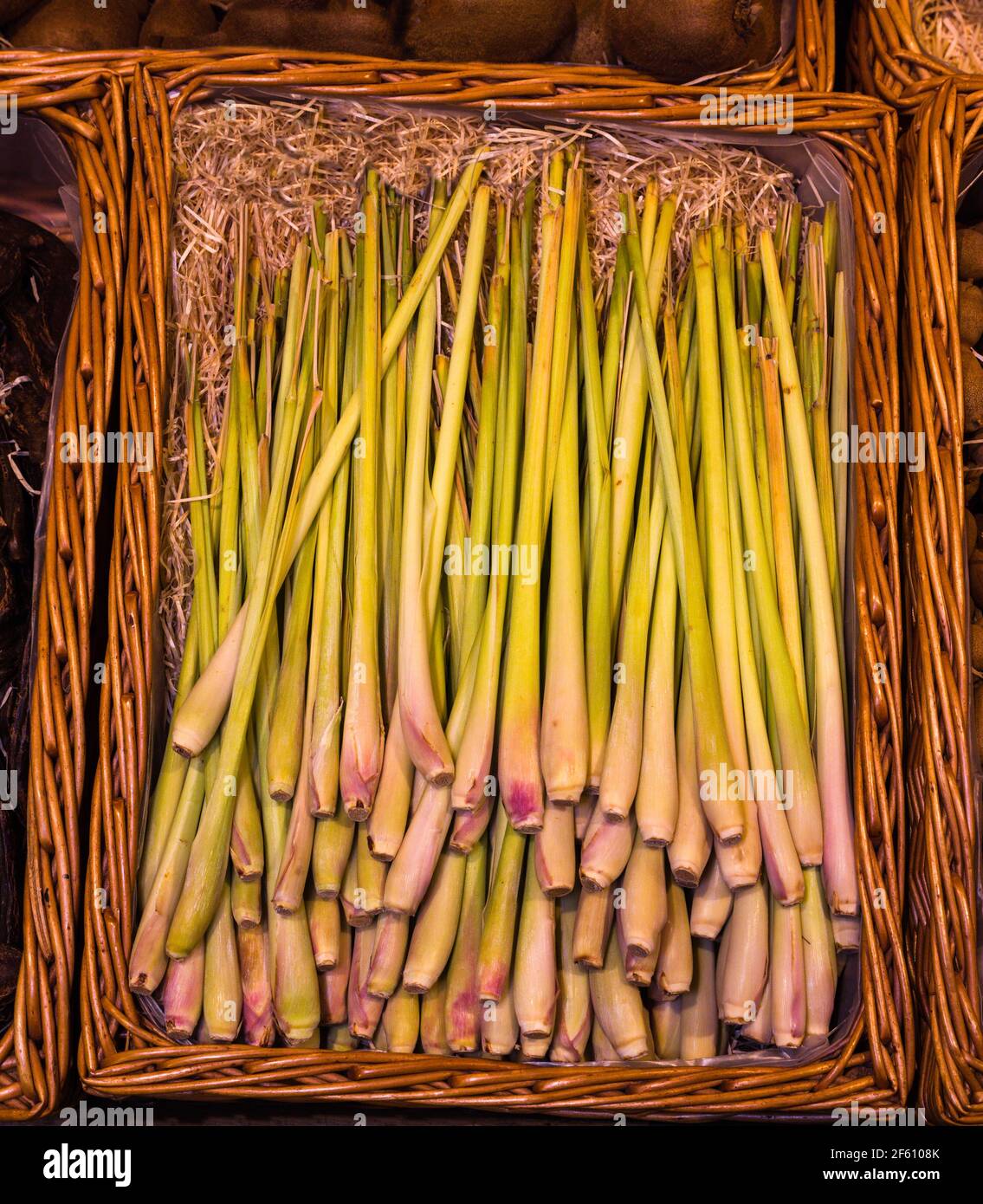 East indian lemongrass hi-res stock photography and images - Alamy