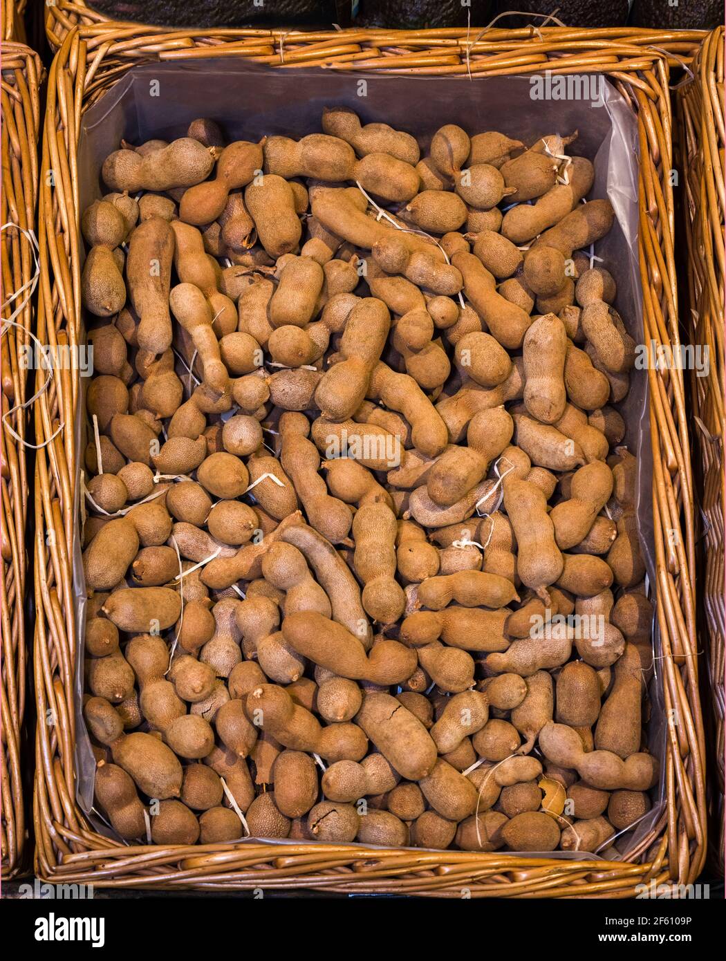 Raw Tamarind Fruits High Resolution Stock Photography and Images - Alamy