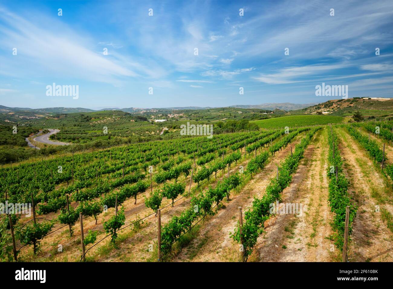 Grape Rows High Resolution Stock Photography and Images - Alamy