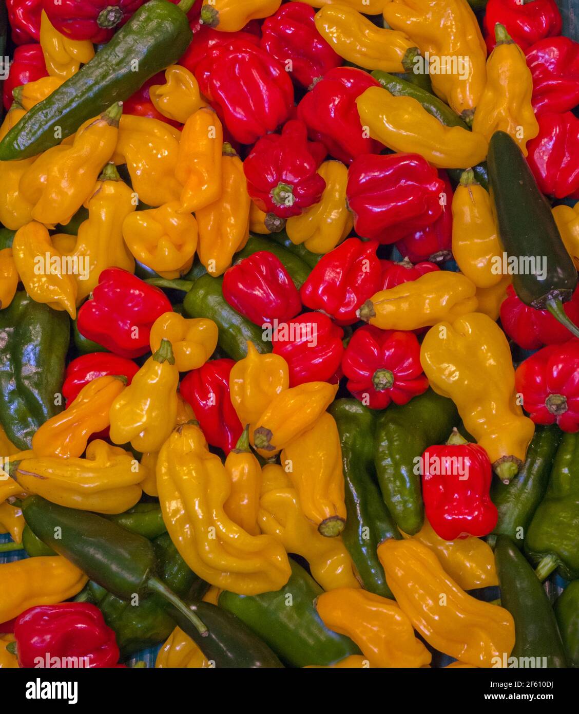 Mixed pimentos hi-res stock photography and images - Alamy