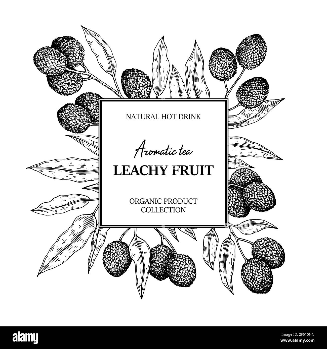 Hand drawn lychee design for packaging, banners, advertising ...