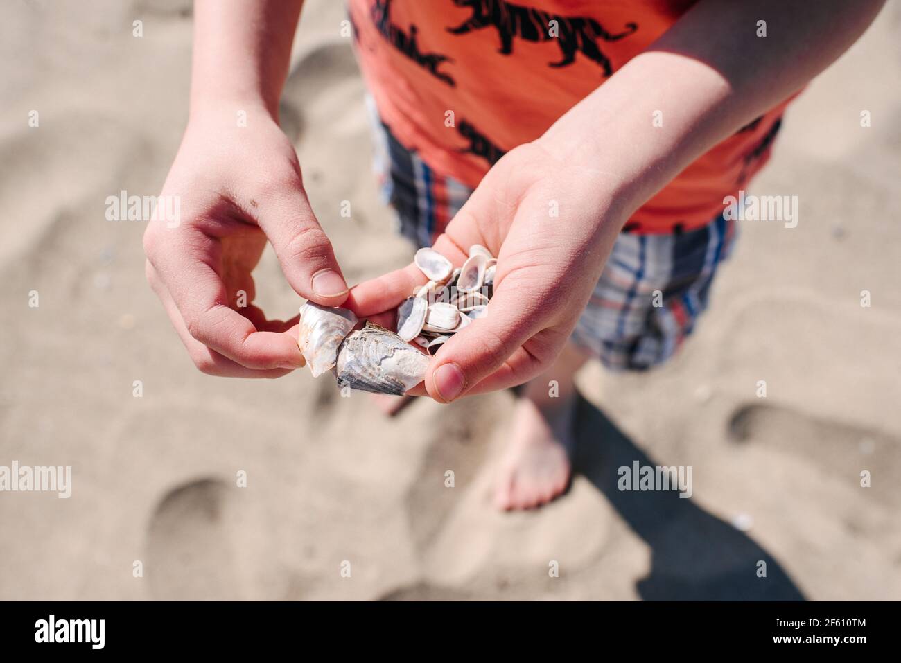 Boy playing with shells hi-res stock photography and images - Alamy