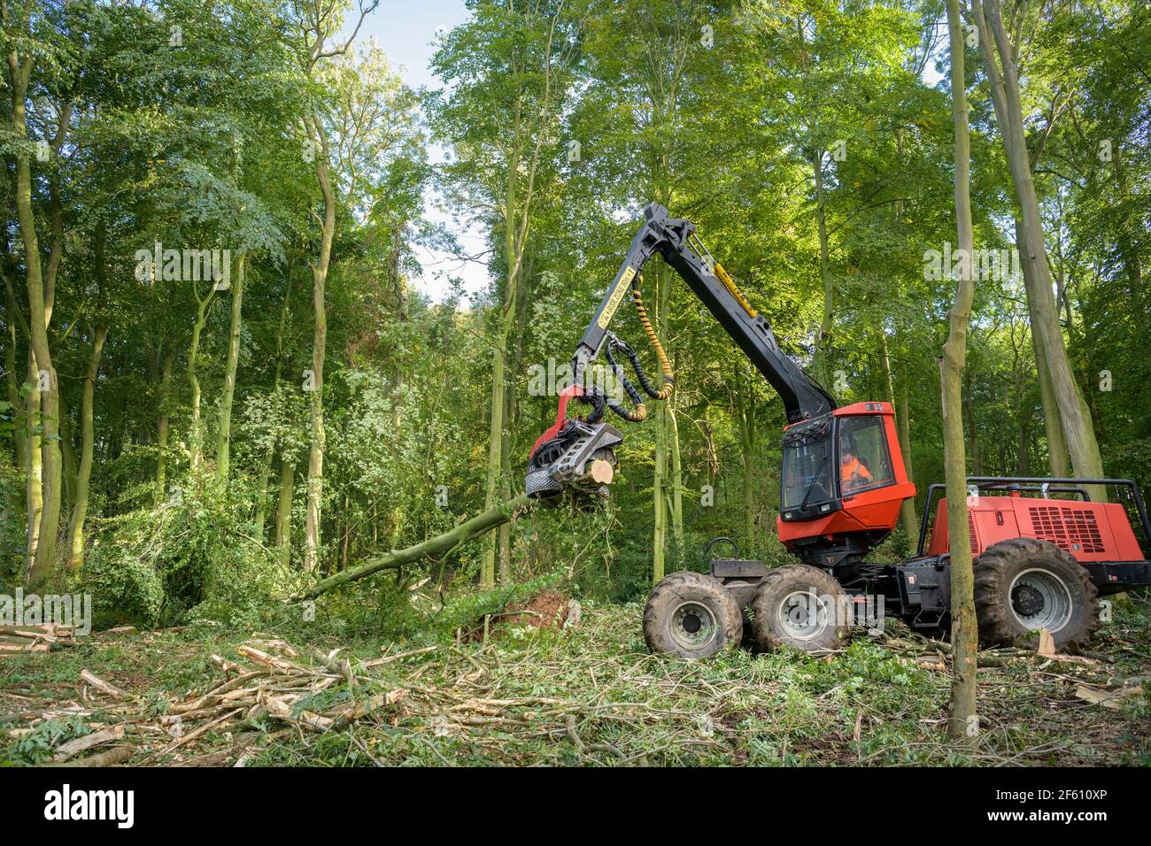 Log harvesting equipment hi-res stock photography and images - Alamy