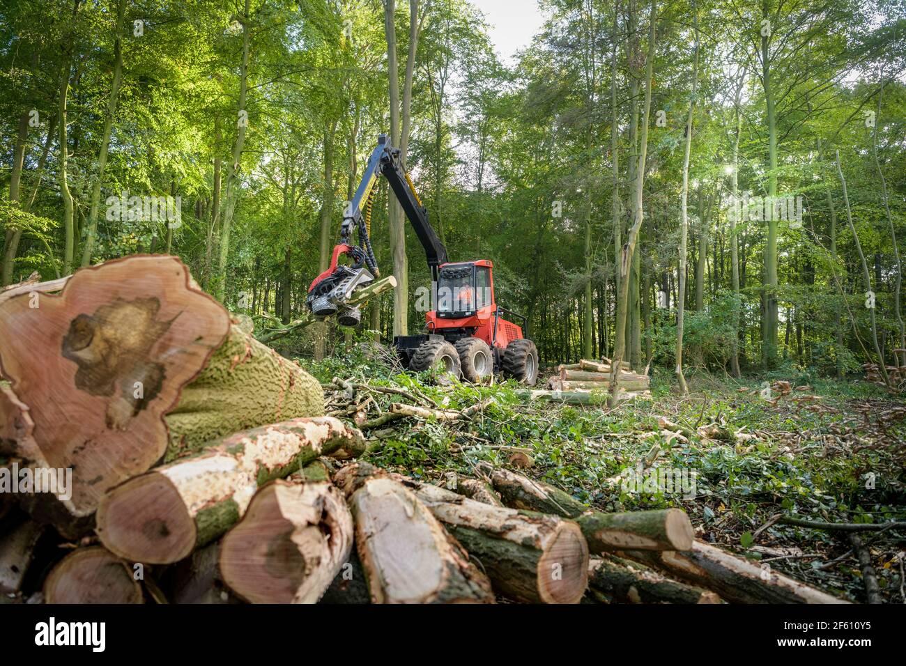 Log harvesting machine hi-res stock photography and images - Alamy