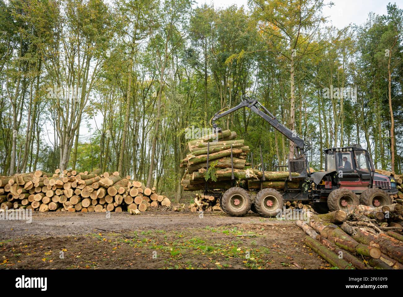 Log harvesting machine hi-res stock photography and images - Alamy