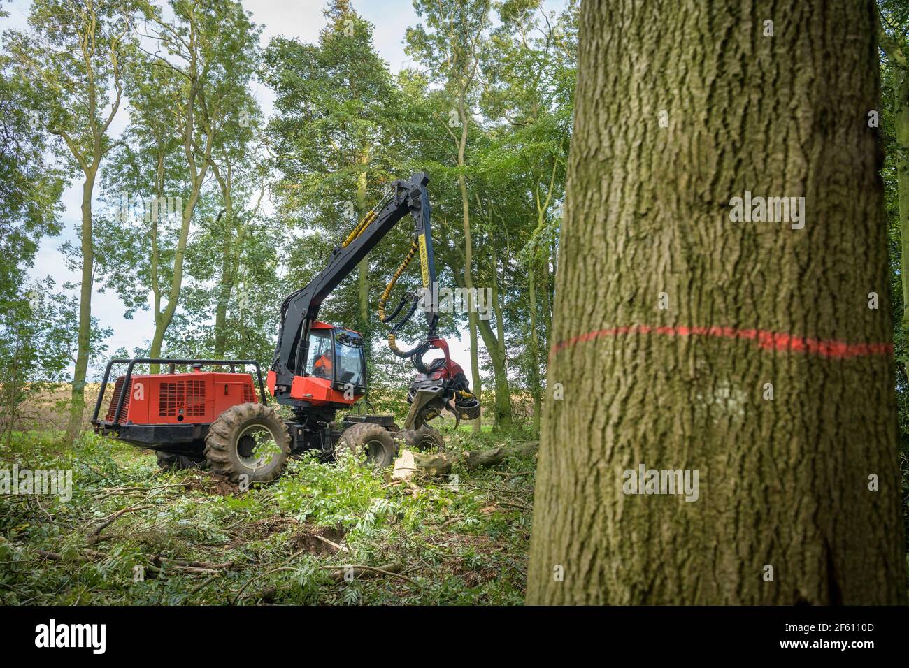 Harvesting materials hi-res stock photography and images - Alamy