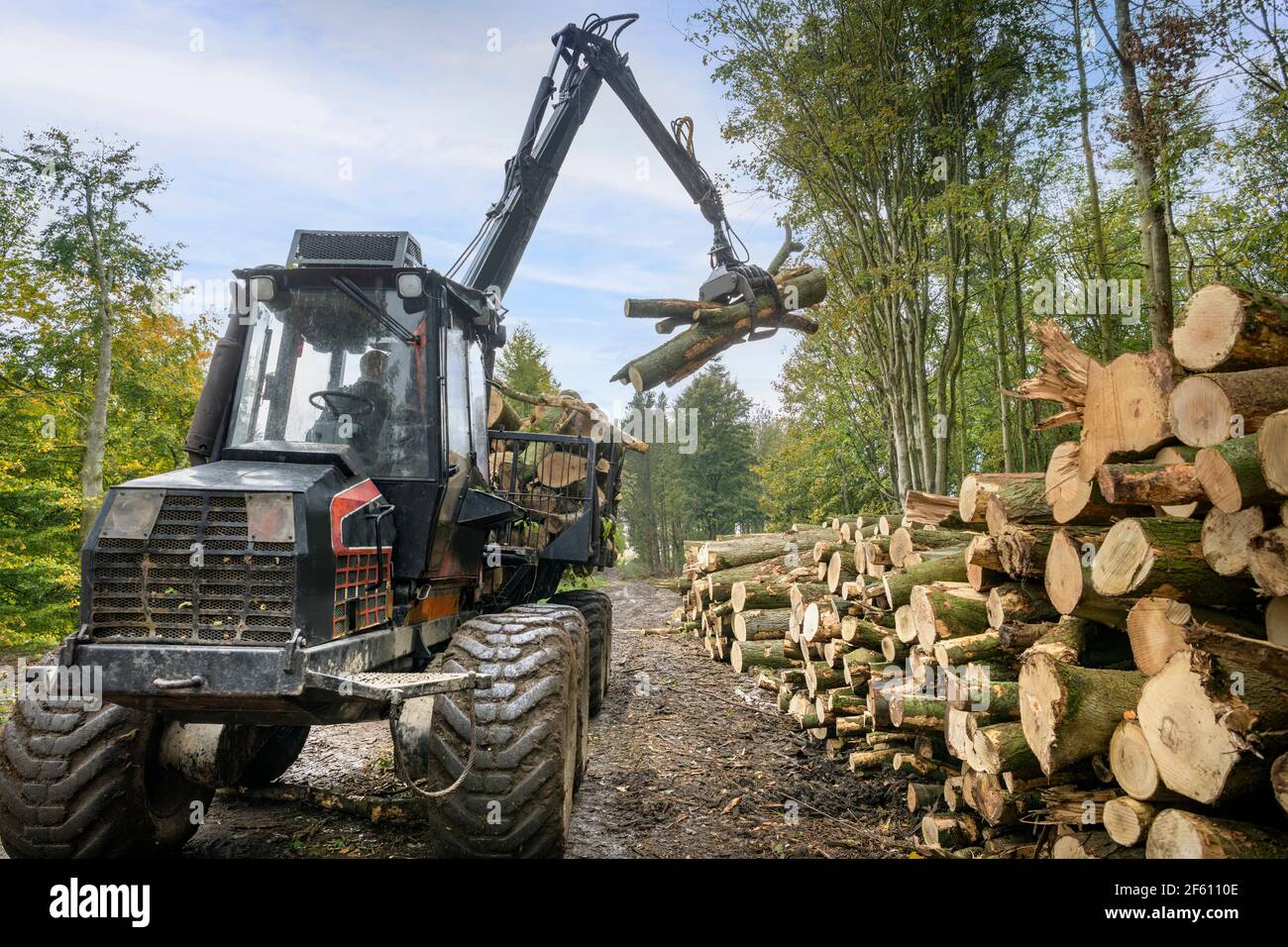 Log harvesting machine hi-res stock photography and images - Alamy