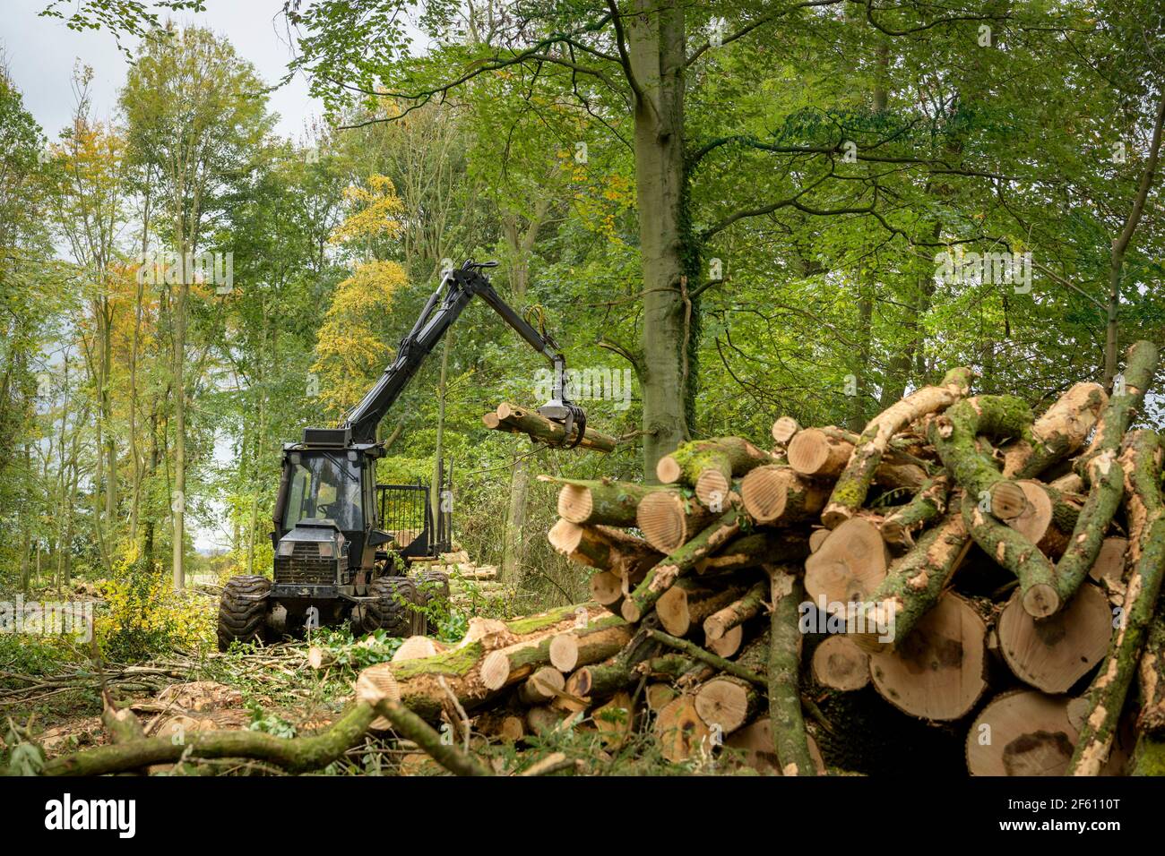 Log harvesting machine hi-res stock photography and images - Alamy