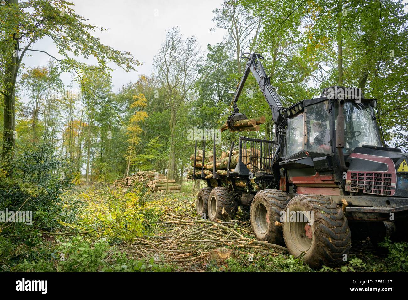 Log harvesting machine hi-res stock photography and images - Alamy