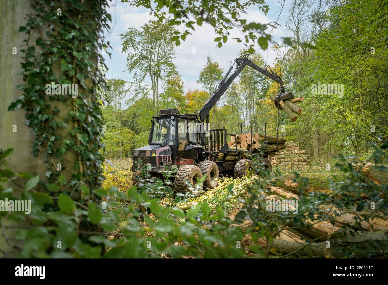 Log harvesting machine hi-res stock photography and images - Alamy