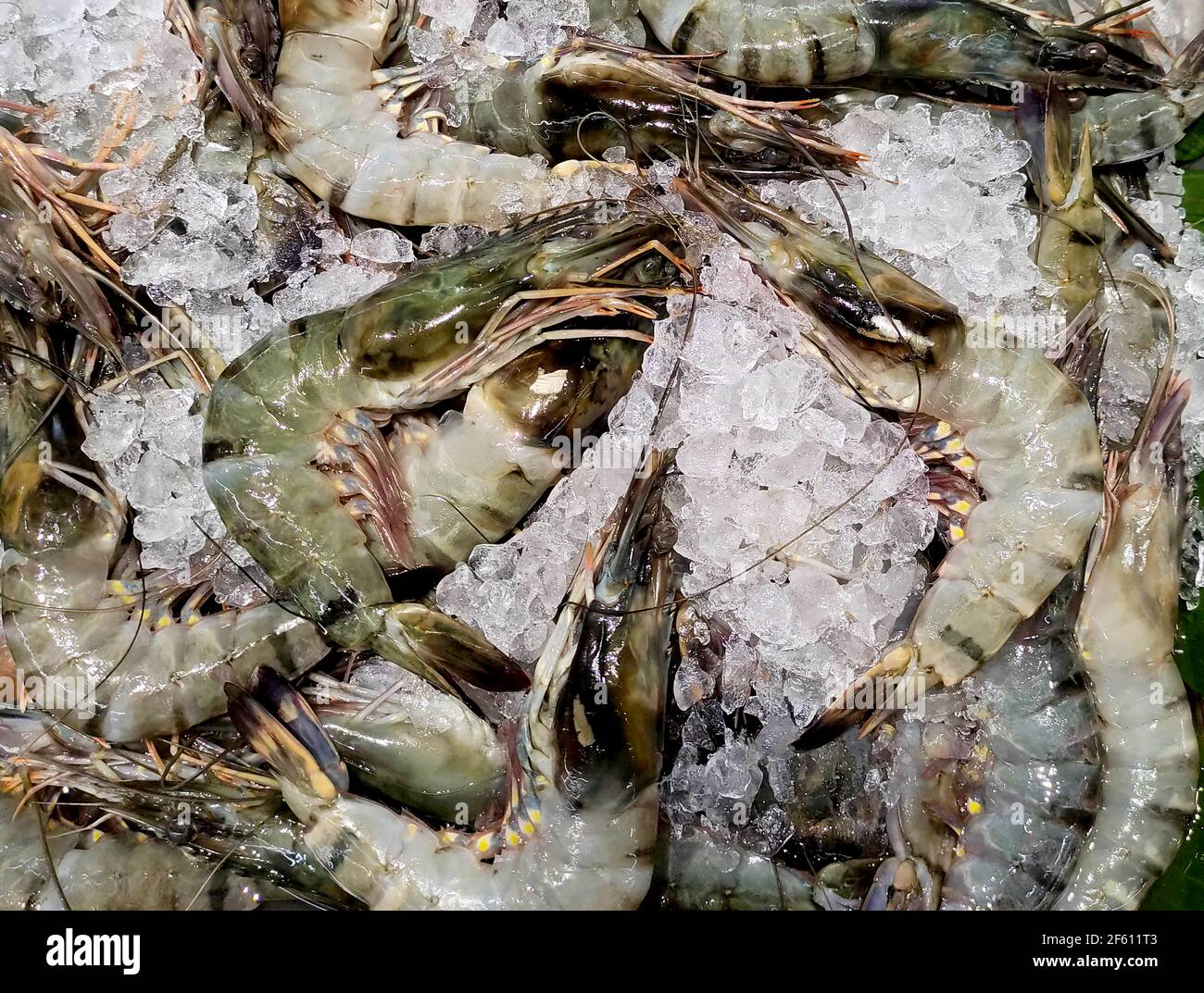 Fresh Prawn on the market - ready to sell Stock Photo - Alamy
