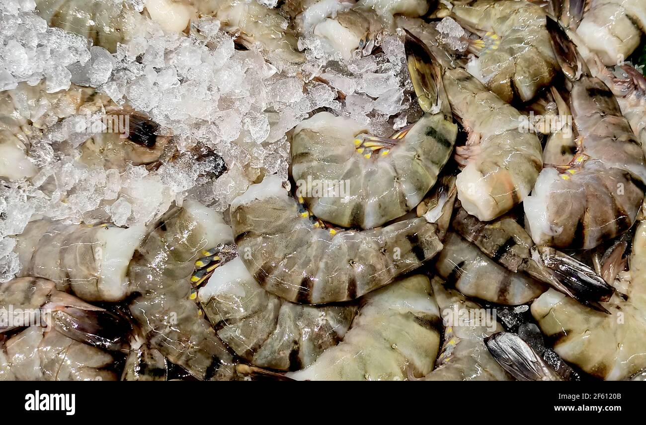 Fresh Prawn on the market - ready to sell Stock Photo - Alamy