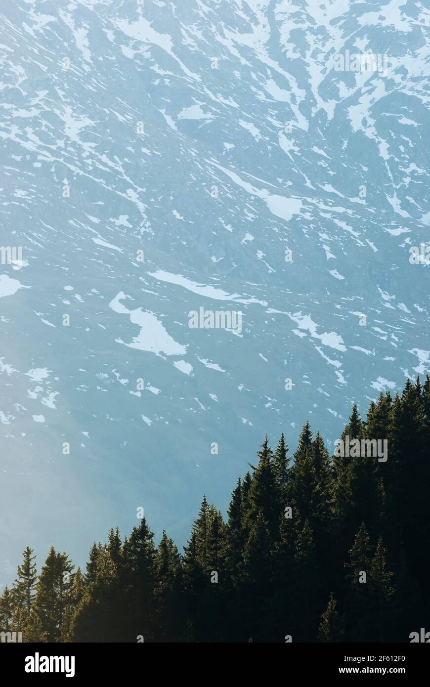 Tree line in front of mountain scenery Stock Photo - Alamy