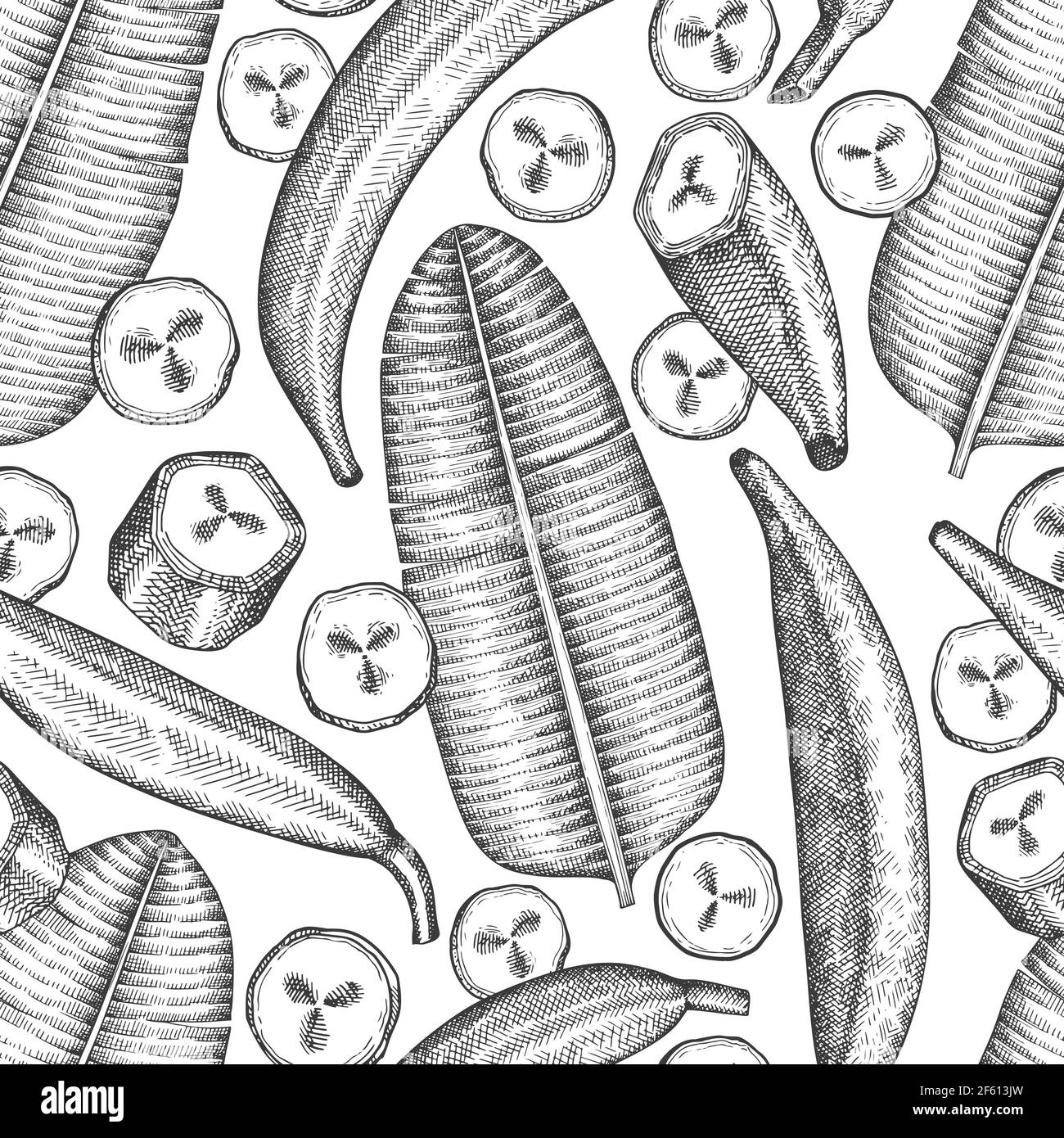 Hand drawn sketch style plantain seamless pattern. Organic fresh fruit ...