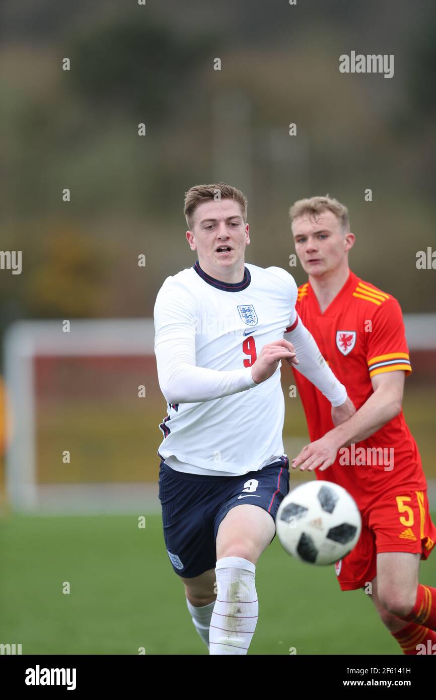 Leckwith stadium hi-res stock photography and images - Alamy