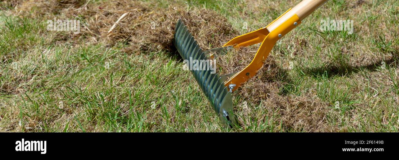 Scarifying a lawn hi-res stock photography and images - Alamy