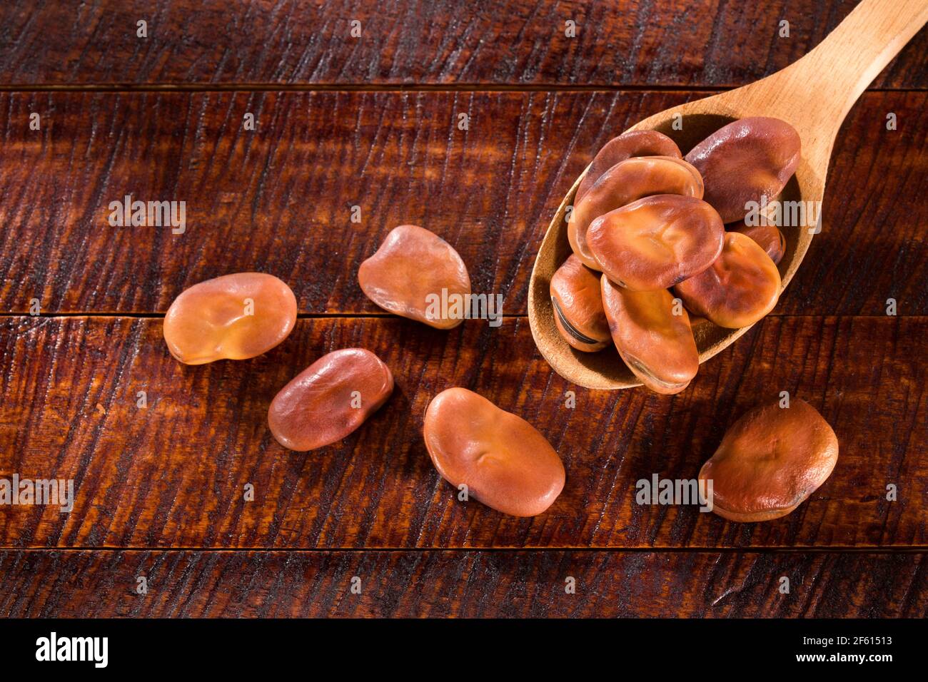 Vicia faba L - Fava brown dried beans Stock Photo - Alamy