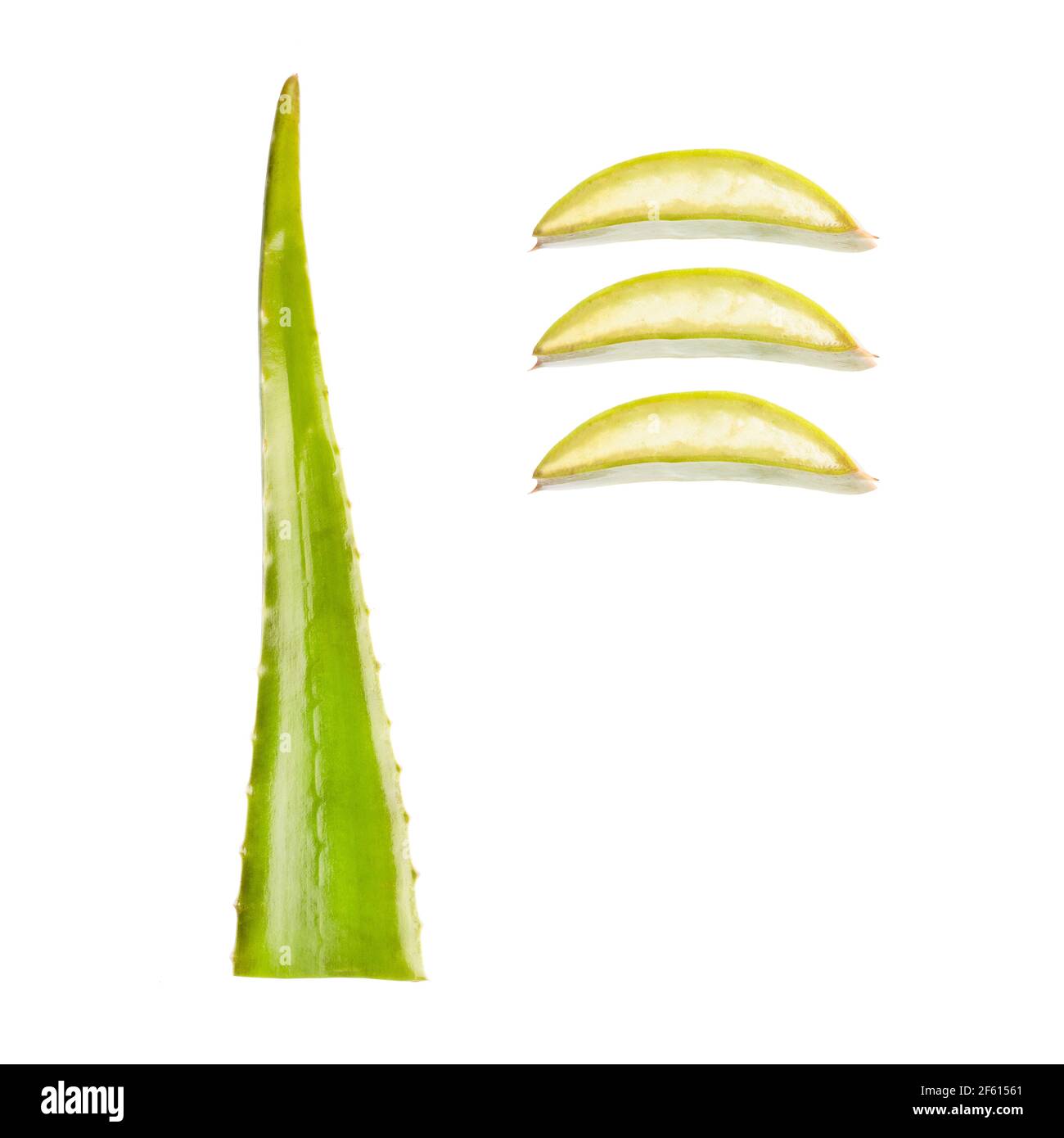 Fresh green Aloe vera with sliced Stock Photo - Alamy