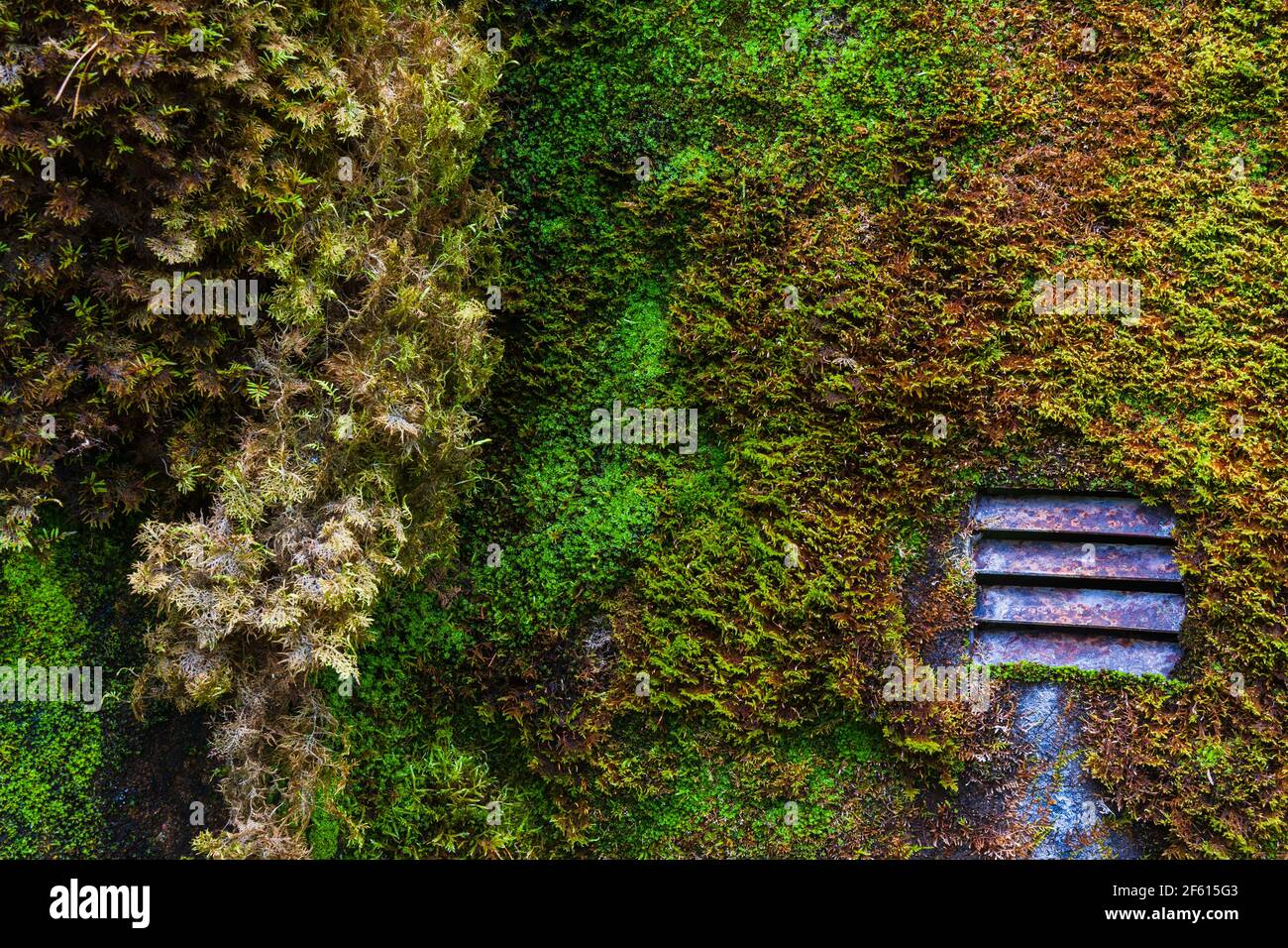 Defensive structure hi-res stock photography and images - Alamy