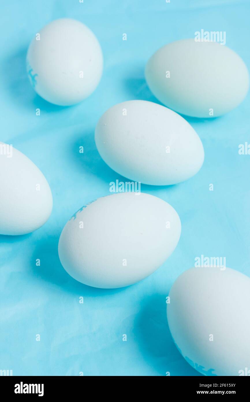Chicken eggs with natural blue shells displayed on blue background. UK ...