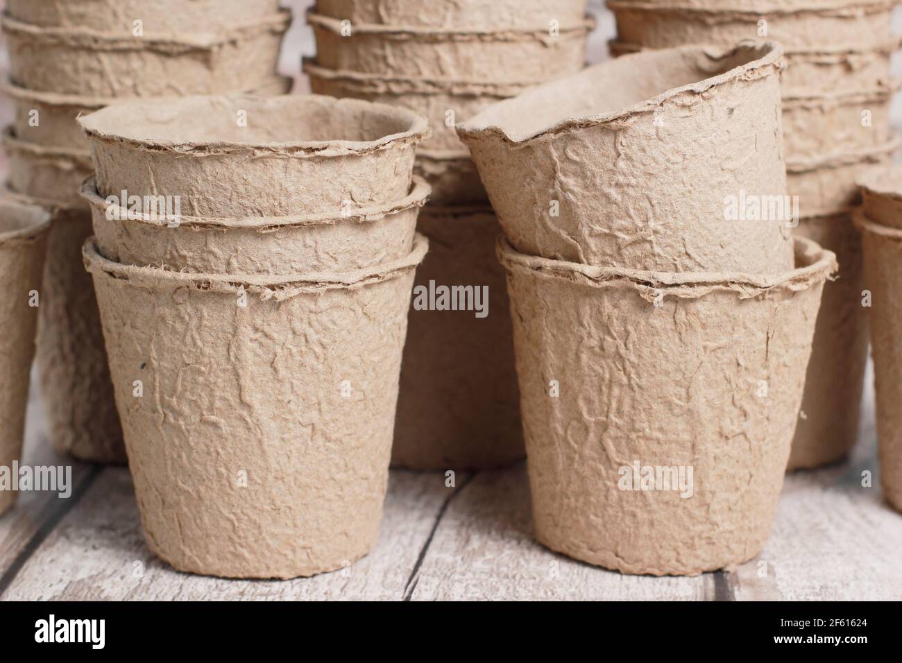 Biodegradable fibre plant pots Stock Photo - Alamy