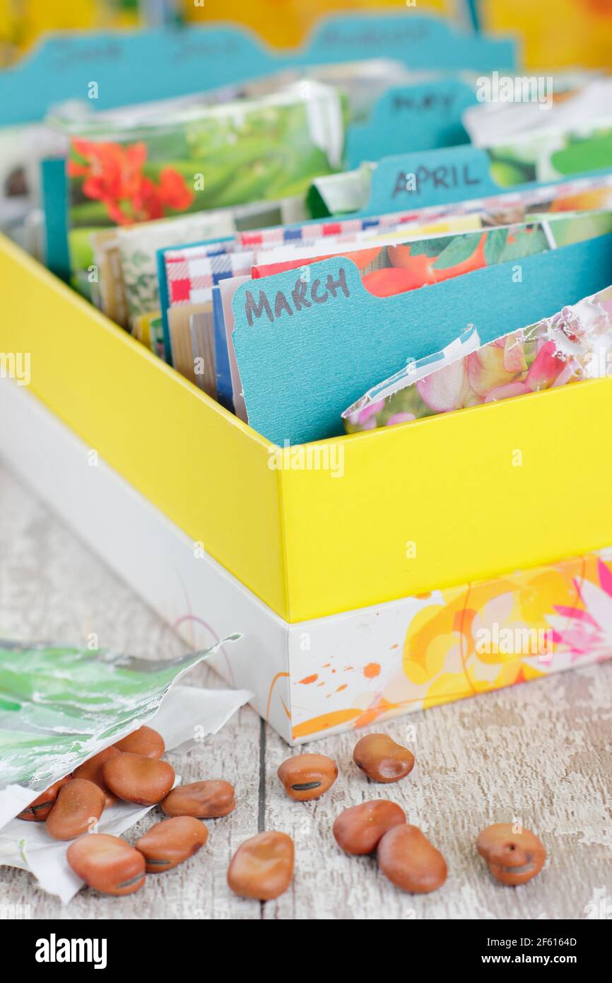 Vegetable seed packet hi-res stock photography and images - Alamy