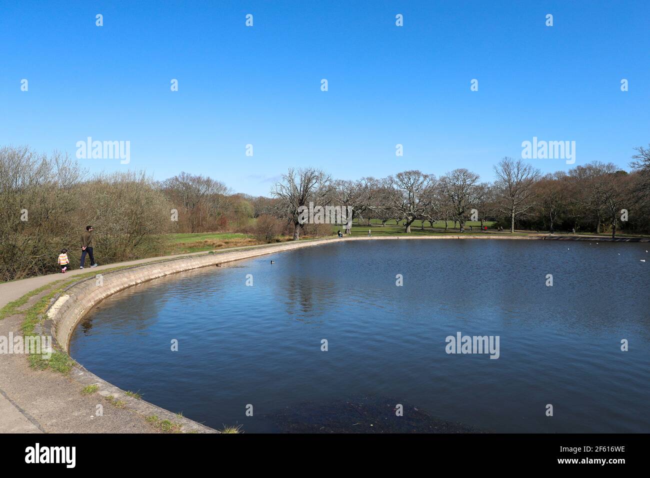 Southampton common southampton hi-res stock photography and images - Alamy