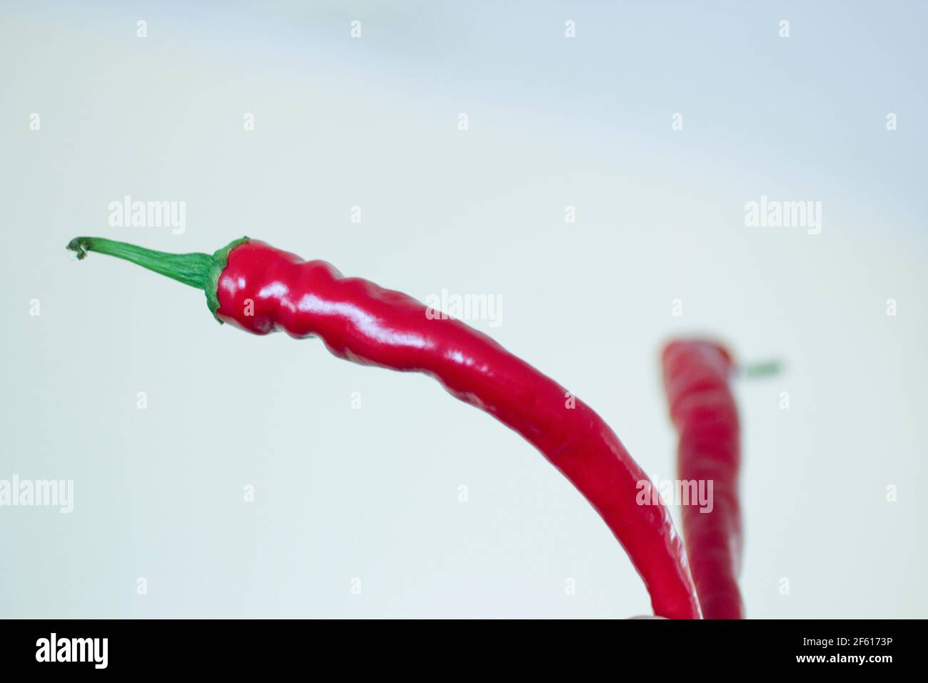 Long red chili pepper stretching and leaning to the left with green top ...
