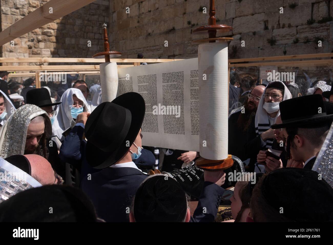 Cells dividing hi-res stock photography and images - Alamy