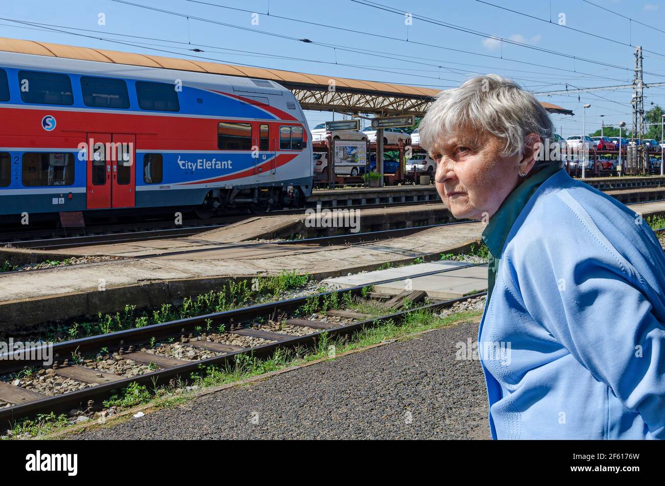 City elefant train hi-res stock photography and images - Alamy