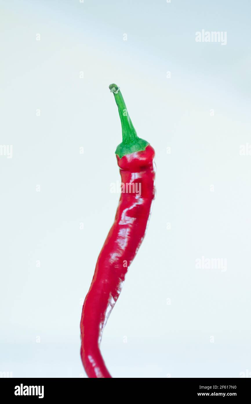 Hot chili pepper hi-res stock photography and images - Alamy